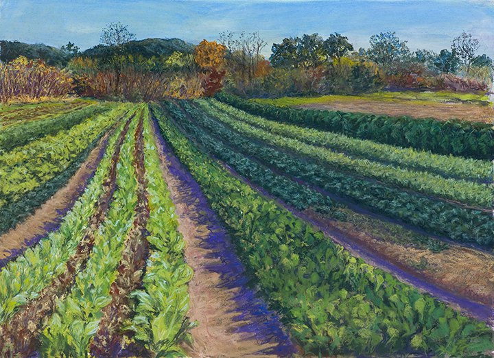 Gallery | Rema Boscov